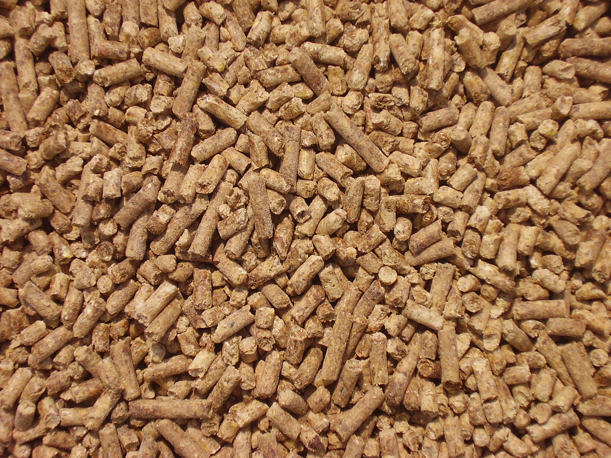 Feed Commodities – Foodchem